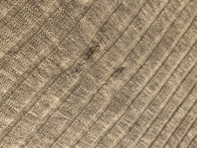 Online classes, necklines and fabric stains | Rachel P Creations